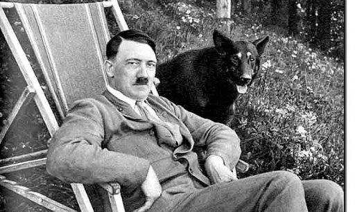 Perro de Hitler | Blondie el perro de Hitler | Petdarling.com