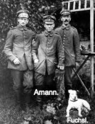 Perro de Hitler | Blondie el perro de Hitler | Petdarling.com