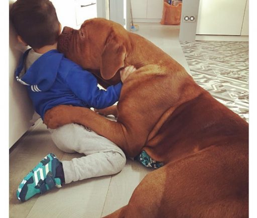 El perro de Messi se come a besos a su hijo [Foto Viral]